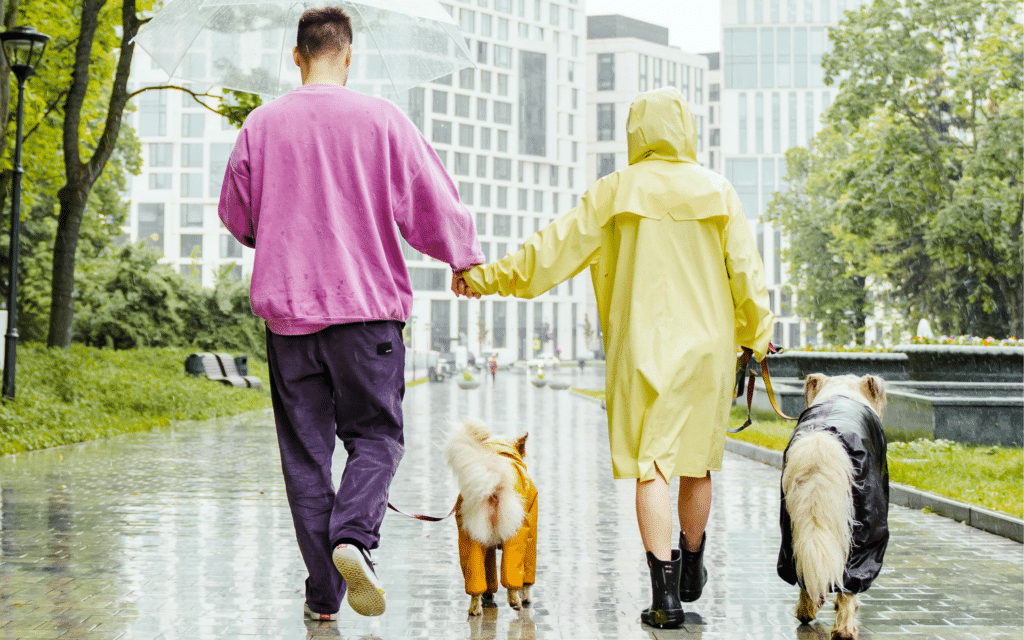 Dubai Pet Friendly Communities: Discover the Best Your Furry