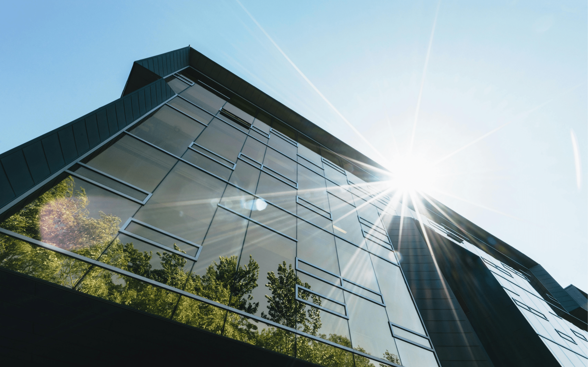 Dubai Municipality Green Building Regulations - An In-Depth Guide