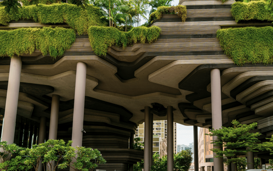 Dubai Municipality Green Building Regulations - An In-Depth Guide