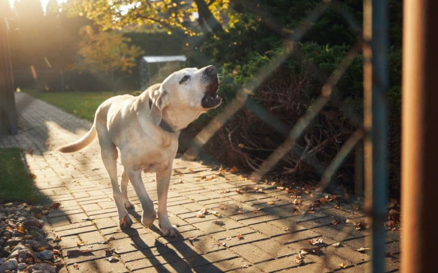 Dealing with Noisy Neighbors in Dubai – Offplan Properties in Dubai