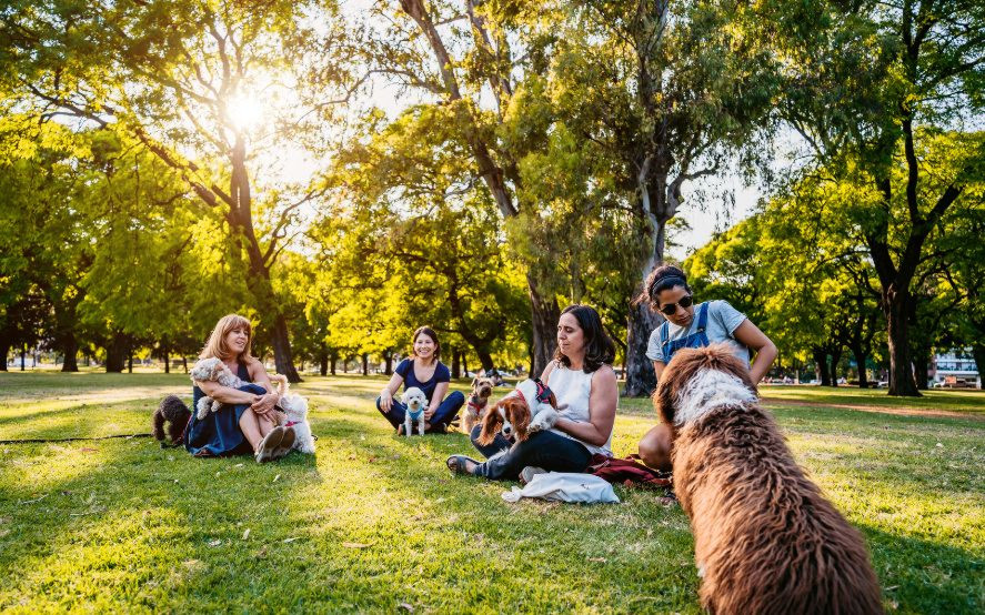 The Best Pet-Friendly Communities in Dubai – iOffPlanDubai